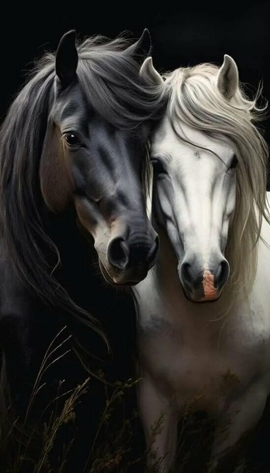 Алмазная картина "Две лошади в черно-белом цвете"/круглый бриллиант/подарок домой/40х50 см.