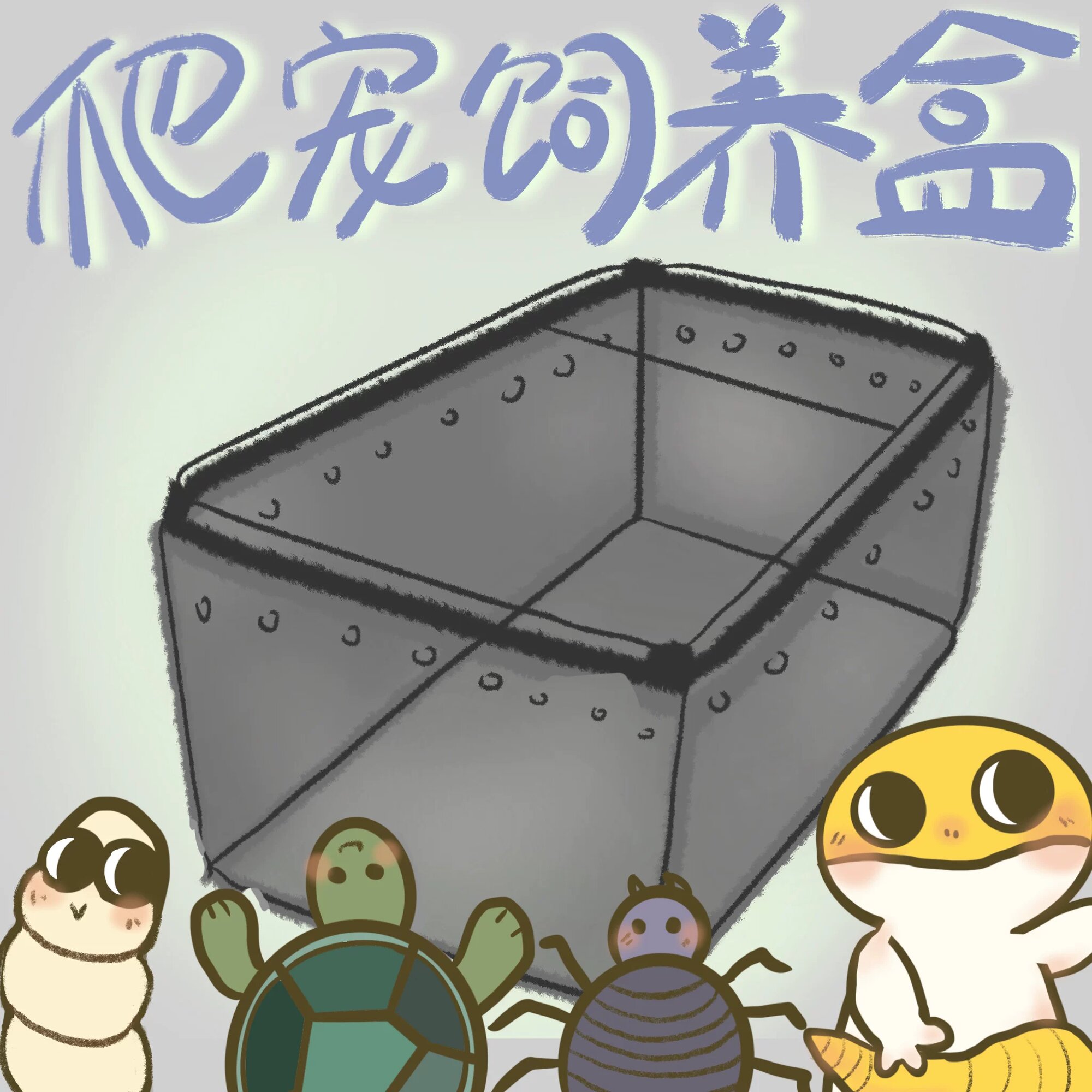 Высокопрозрачный террариум для рептилий (геконов, ящериц, рогатых лягушек), дышащий контейнер для разведения пауков и