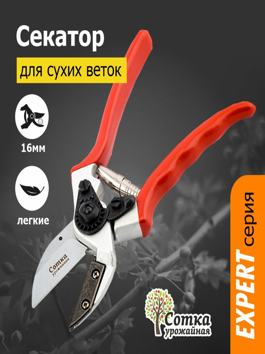 Секатор садовый для сухих веток "Урожайная Сотка" профессиональный с наковальней, 215 мм