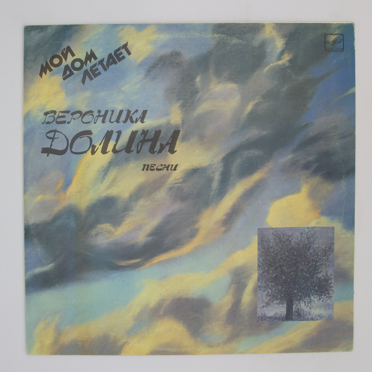 Виниловая пластинка Вероника Долина - Мой Дом Летает, 1xLP, NM