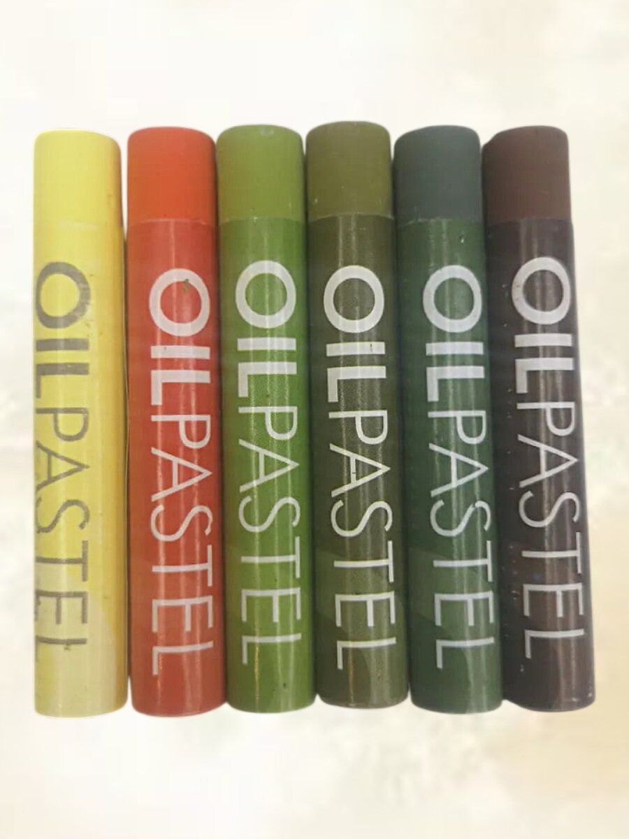 Пастель художественная масляная MUNGYO Oil Pastels Набор №9 (6шт)