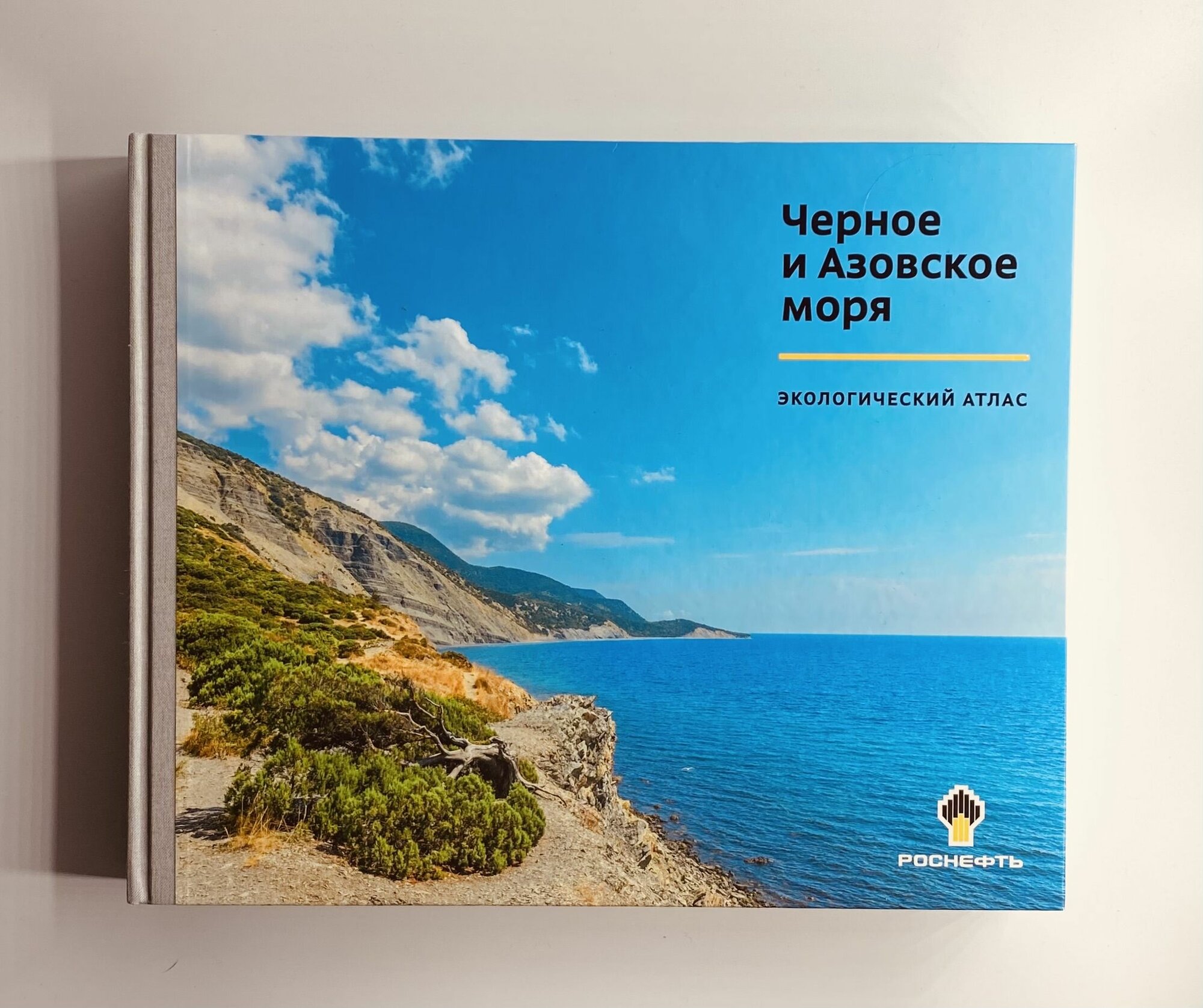 Черное и Азовское моря. Экологический атлас