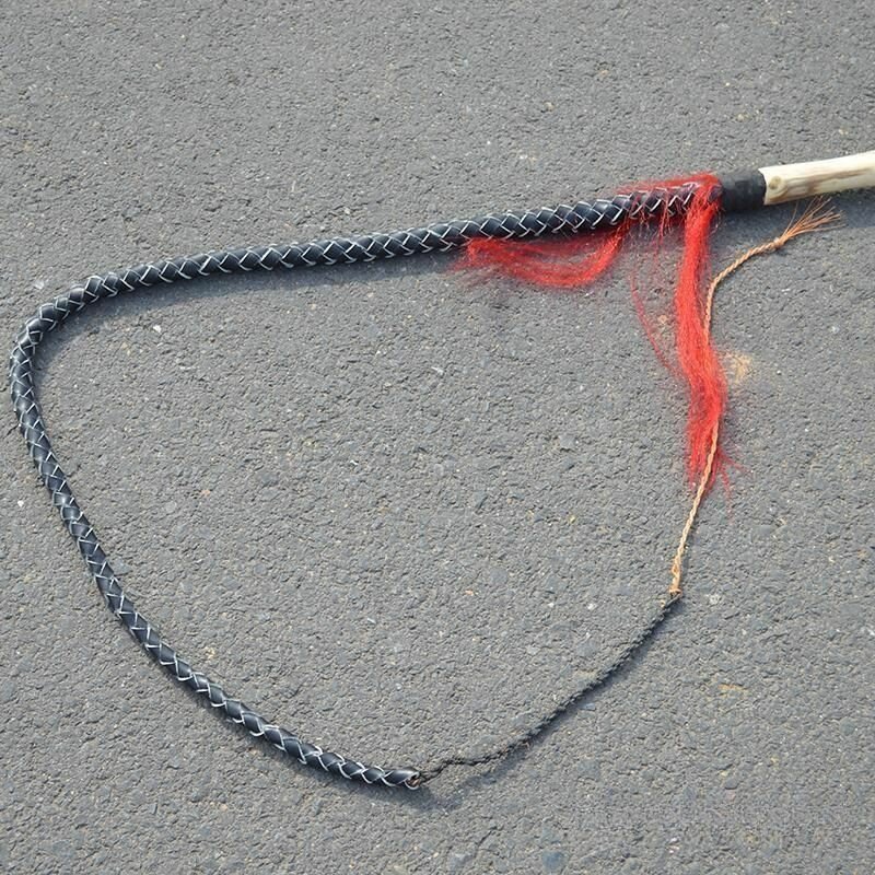 Хлыст для конного спорта