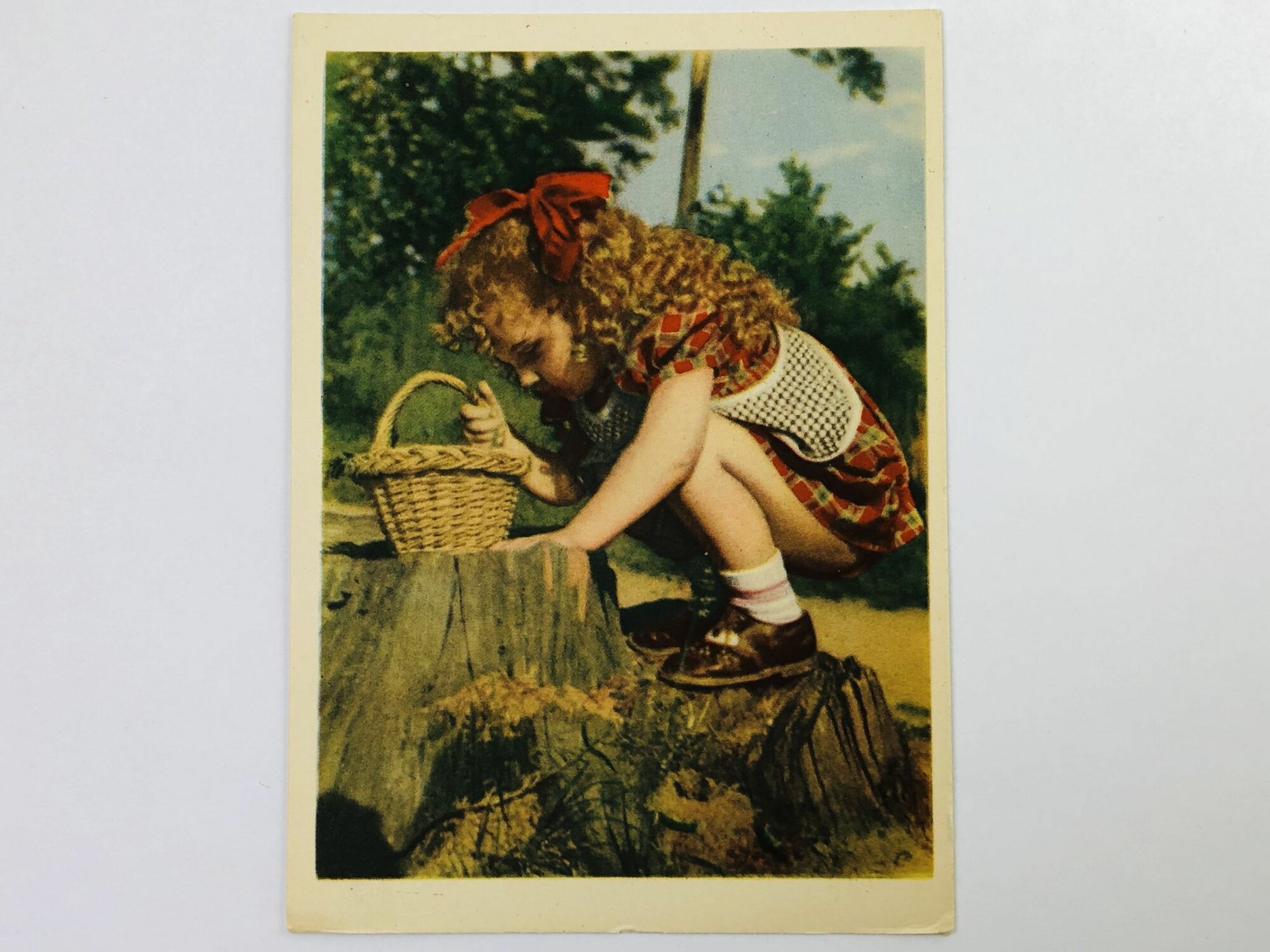 Почему пень шершавый? Открытка с маркой 25 копеек