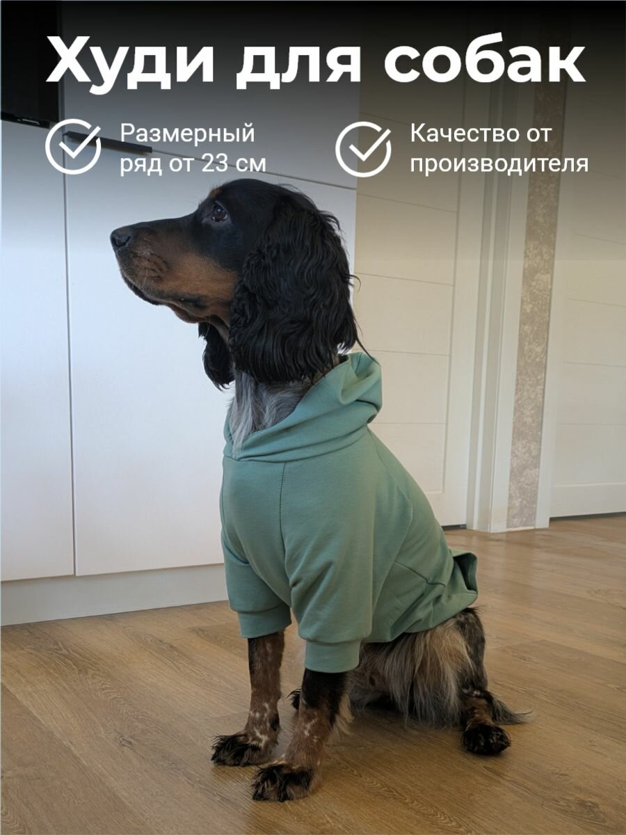 Худи для собак. Кофта с капюшоном. Футер 2-х нитка