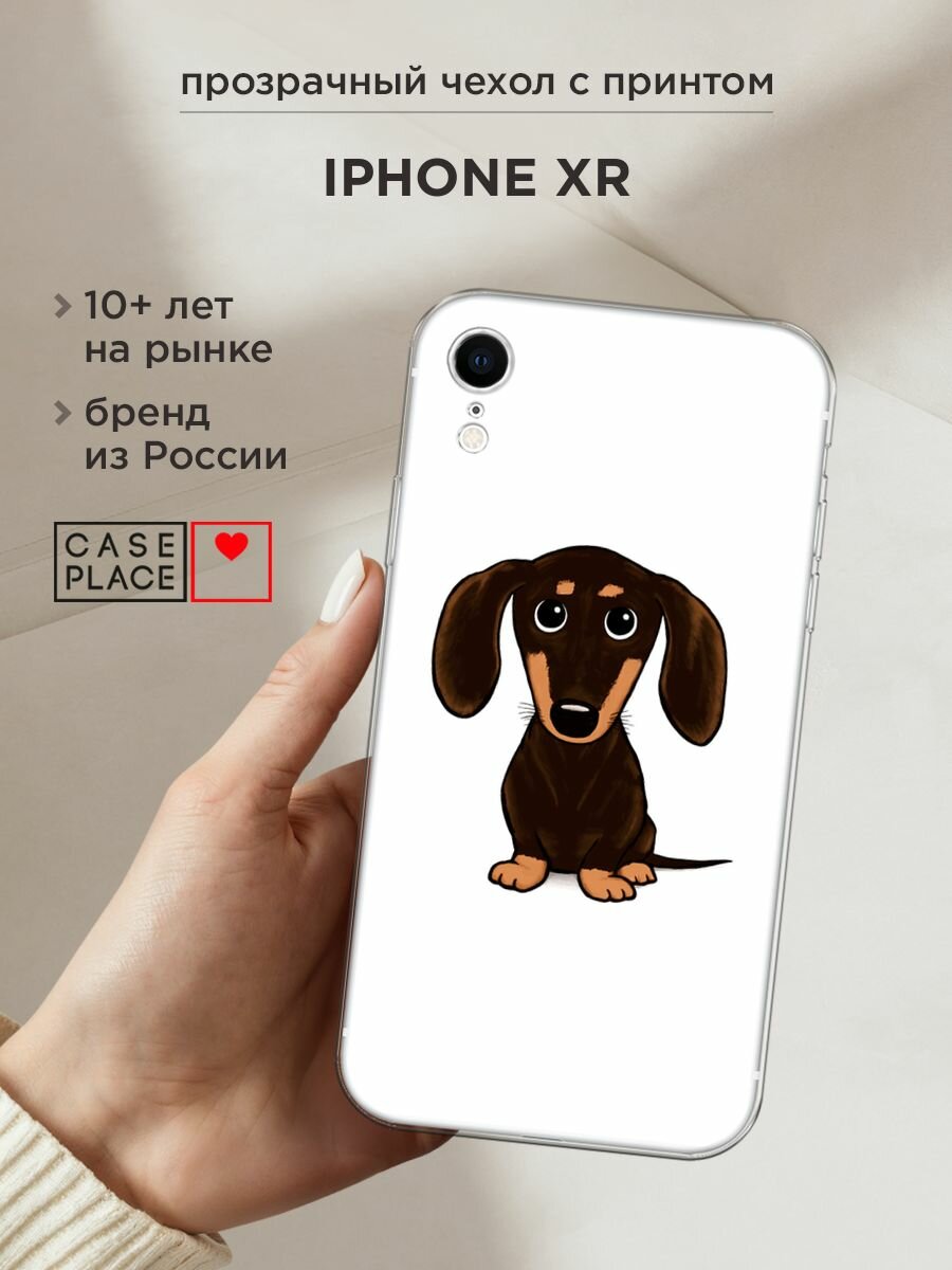 Чехол на Apple iPhone XR / Айфон XR с принтом "Маленькая такса"