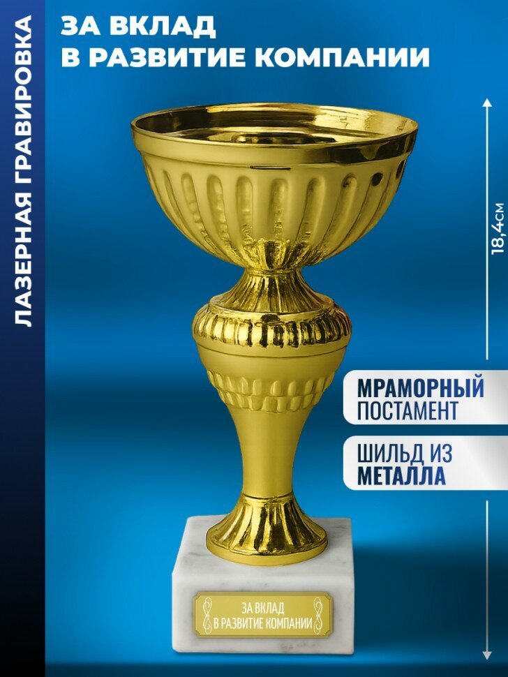 Кубок "За вклад в развитие компании"