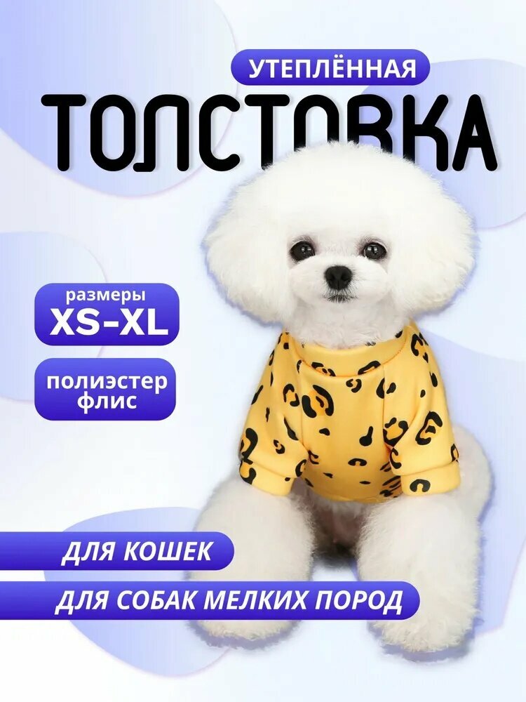 Одежда для животных