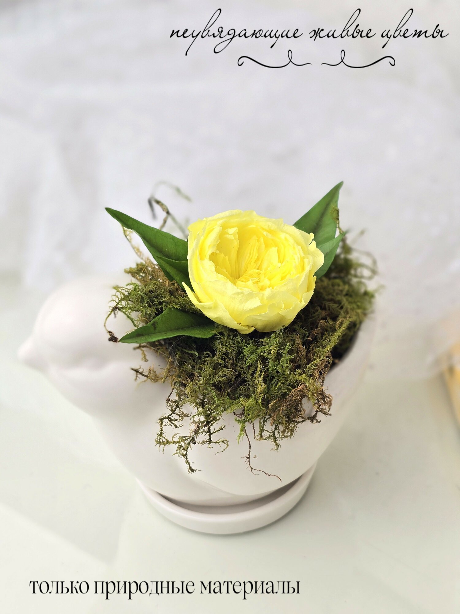 Керамическое кашпо со стабилизированной гортензией, "Птичка" / интерьерный букет