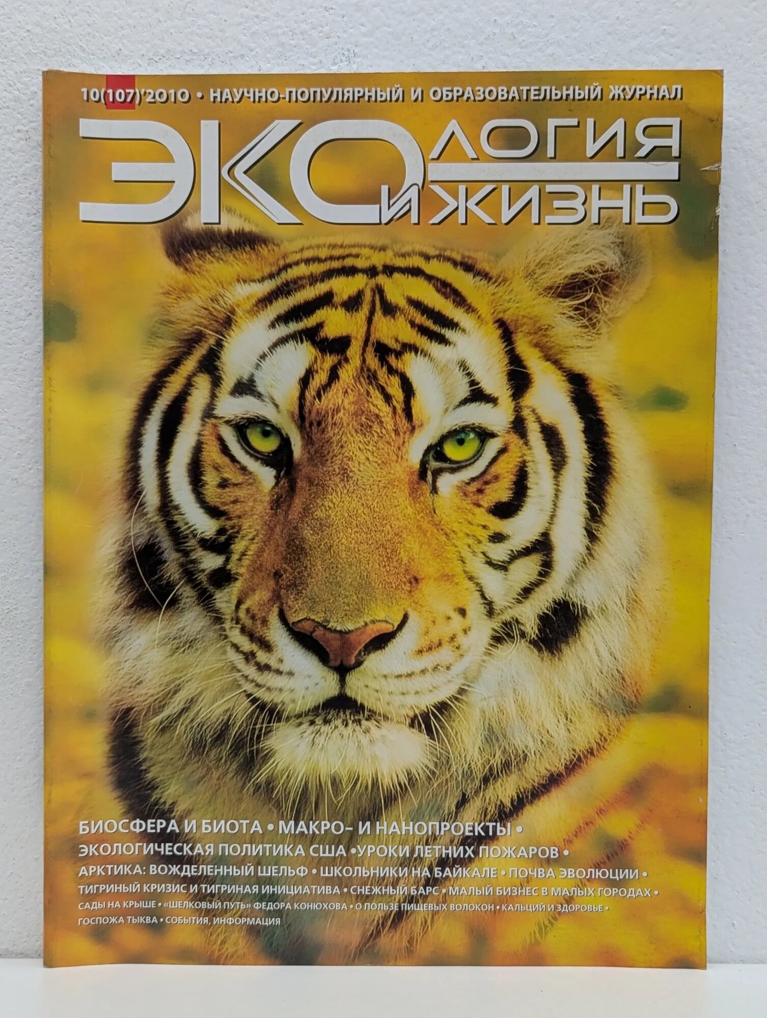 Журнал "Экология и жизнь". Номер 10 (107) Сборник 2010