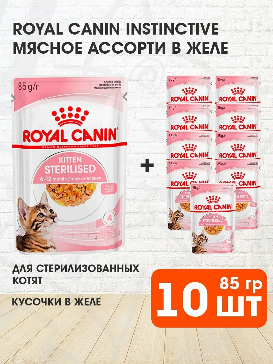 Корм влажный Royal Canin Kitten Sterilised для кастрированных и стерилизованных котят в желе пауч, 85 г х 10 шт
