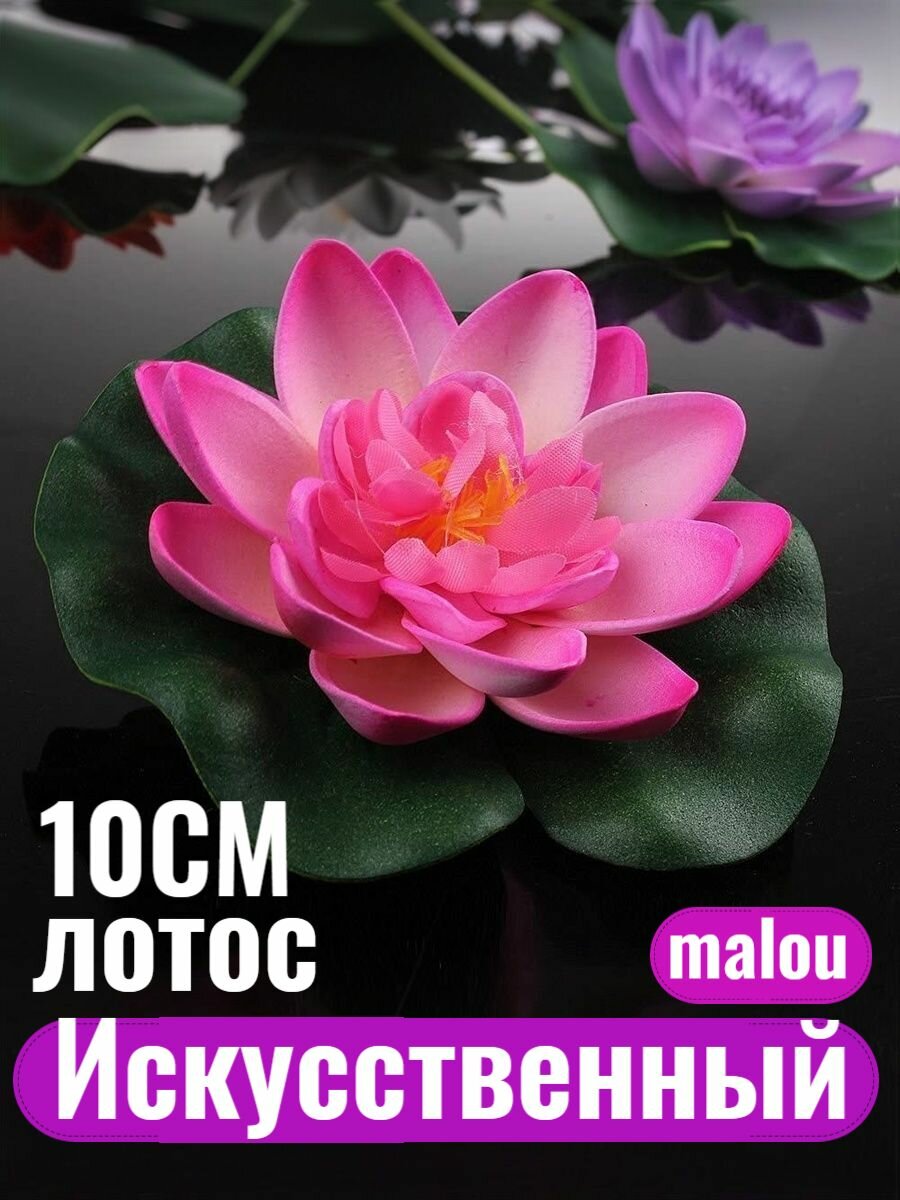 Декоративные цветы для водоема, Водяные лилии 10x10cm