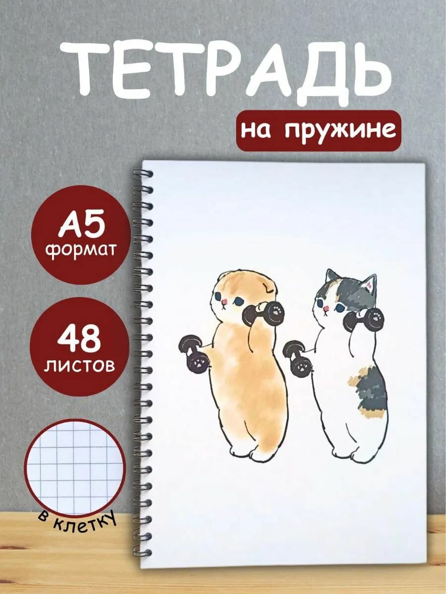Тетрадь в клетку 48 листов на пружине , блокнот А5 Милые котики