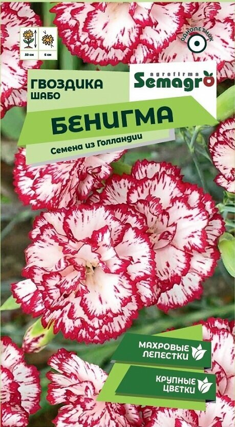 Семена Гвоздики Шабо SEMAGRO Бенигма 0,1 г