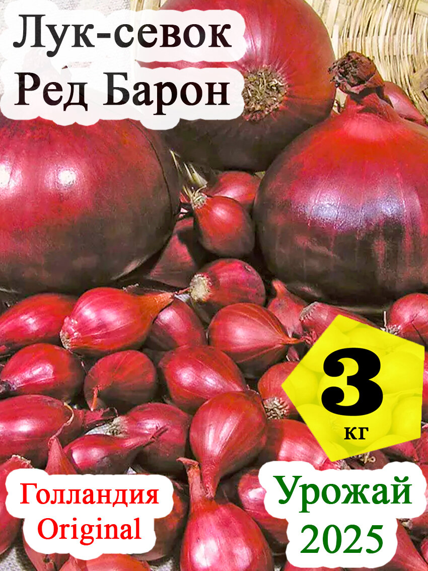 Лук севок Ред Барон 3 кг Голландия
