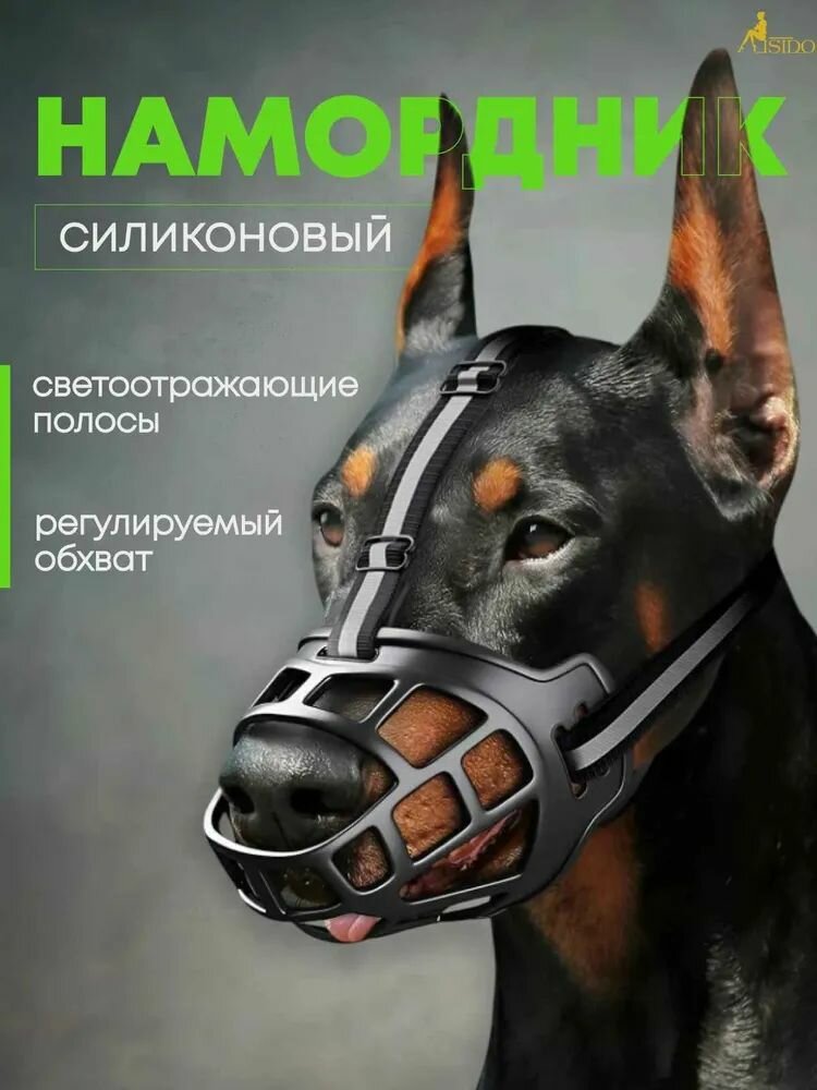 Намордник