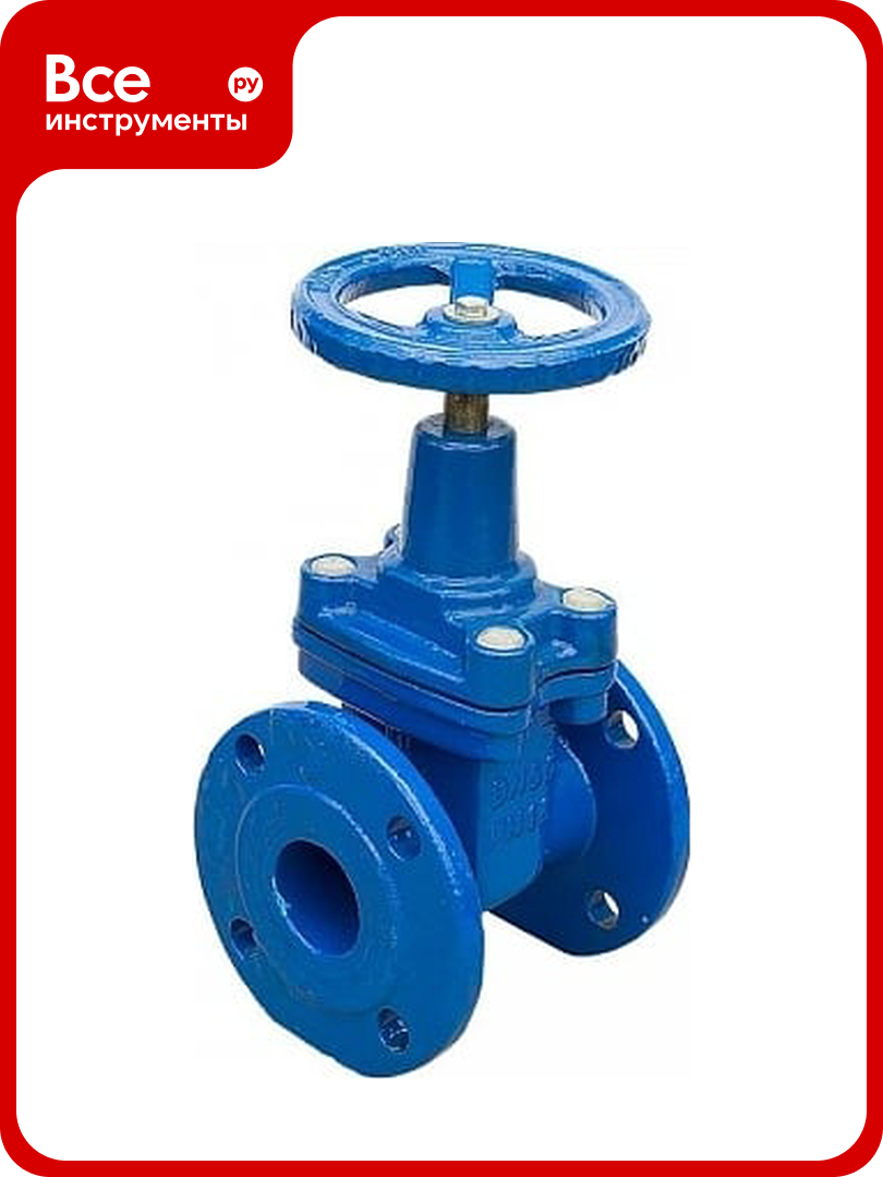 Задвижка Ci 30ч39р 65 с обрезиненным клином ТТ000017287