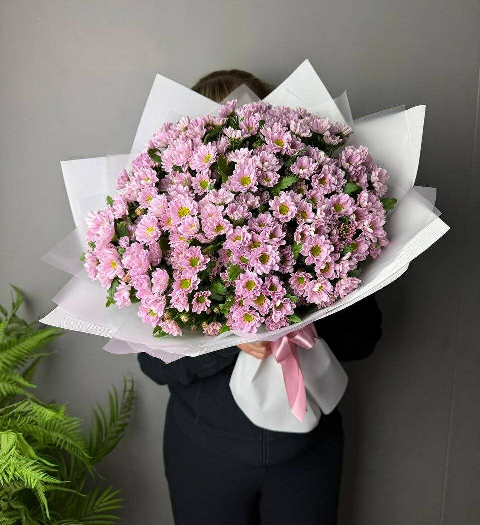 Букет хризантемы сантини / 25 розовых кустовых хризантем в стильной упаковке / большой букет живых цветов с доставкой