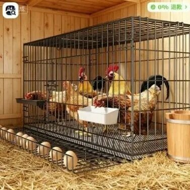 Эксклюзивная клетка с яйцесборником для птицы