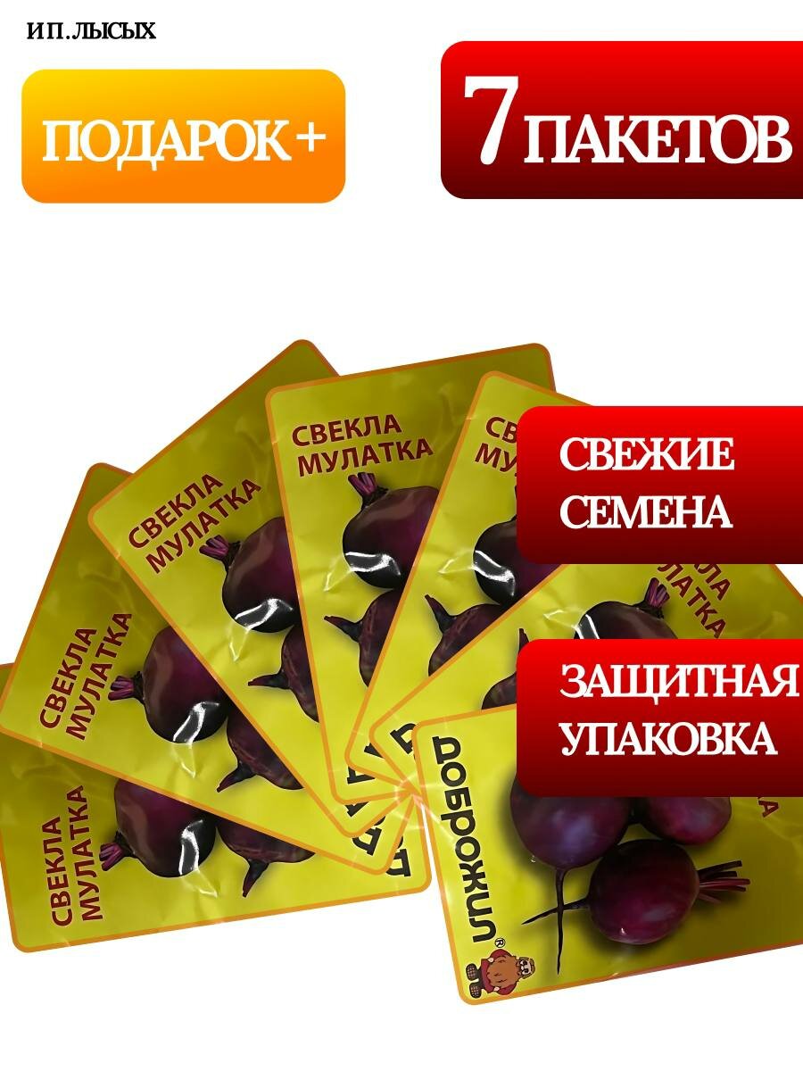 Семена Свекла "Мулатка"