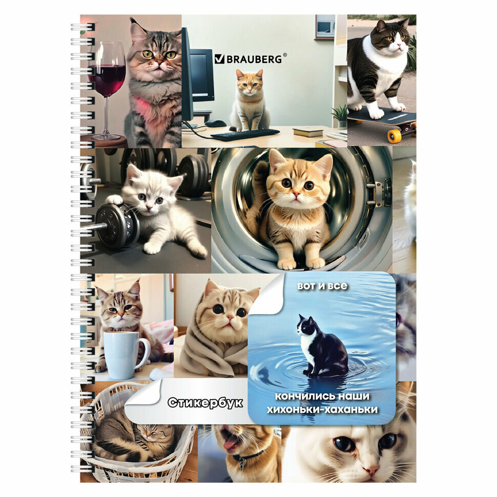 Стикербук просто наклей А6, 16 листов, 96 цветных стикеров, на гребне, BRAUBERG, "Коты мемы", 666050, 666050