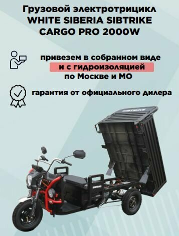 Грузовой электротрицикл White Siberia Sibtrike Cargo Pro, 2000W, в сборе с гидроизоляцией