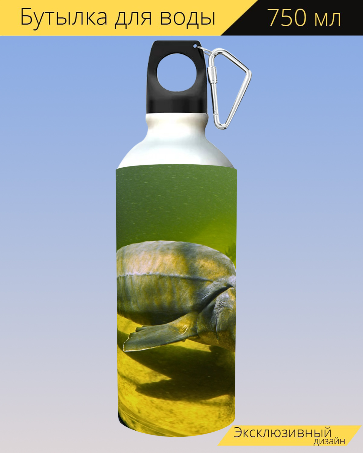 Бутылка фляга для воды "Kapitaler осетровых рыб, большой аквариум, рыбы" 750 мл. с карабином и принтом