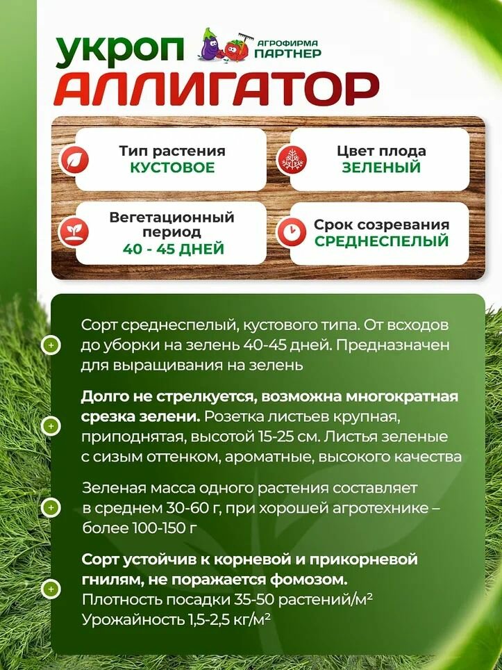 Семена укропа Аллигатор — фото 1