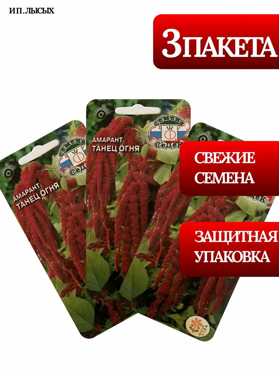 Семена Амарант "Танец Огня"