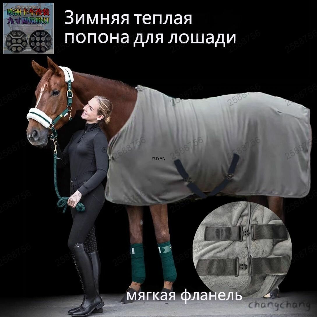 Попона для лошади