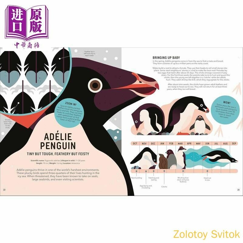 Книга "DK Zoom Out Natural World", 2025 г, твердый переплет, для детей — фото 1