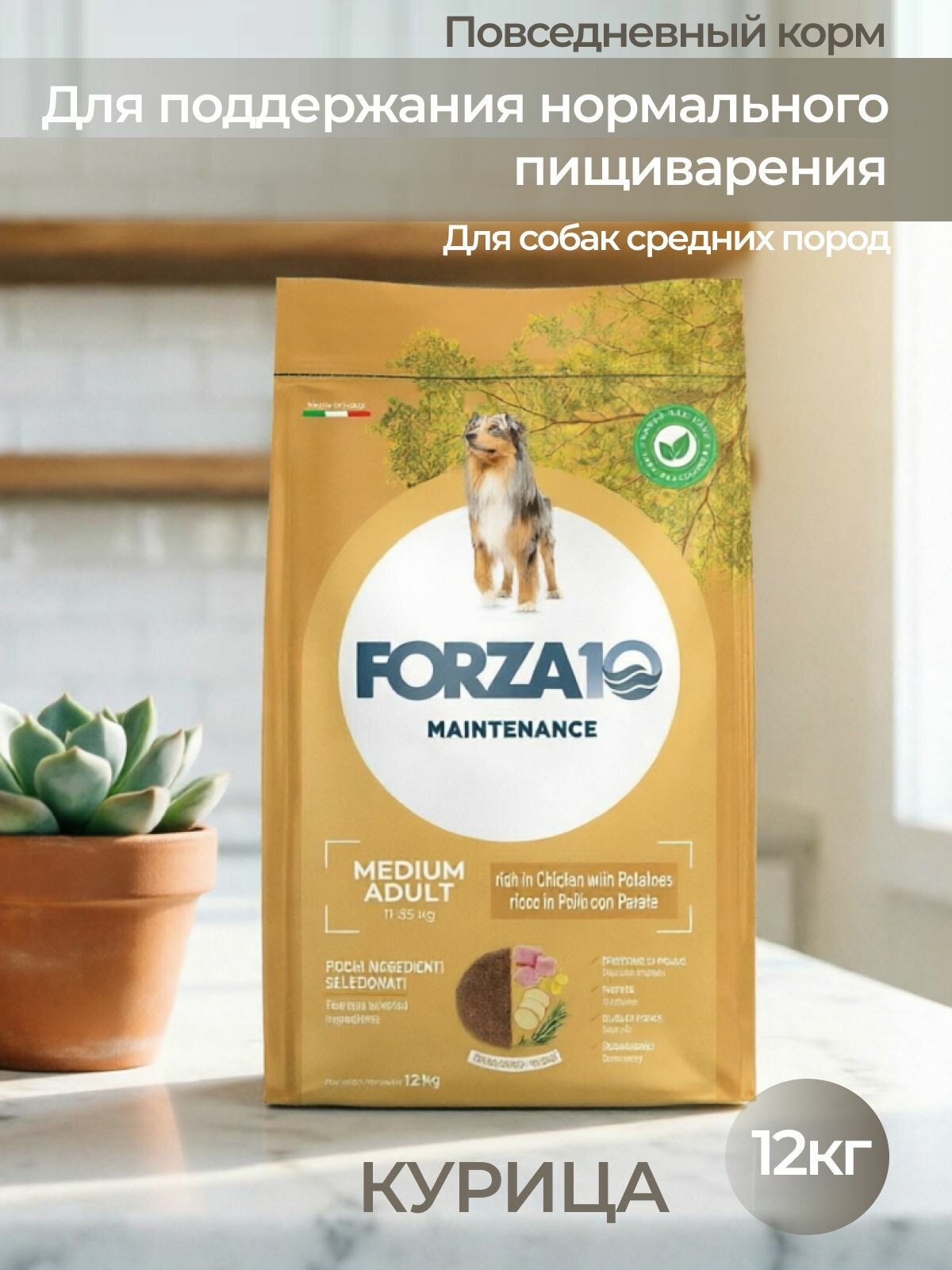Сухой корм для собак Forza10 Medium Maintenance средних пород курица c картофель-12кг
