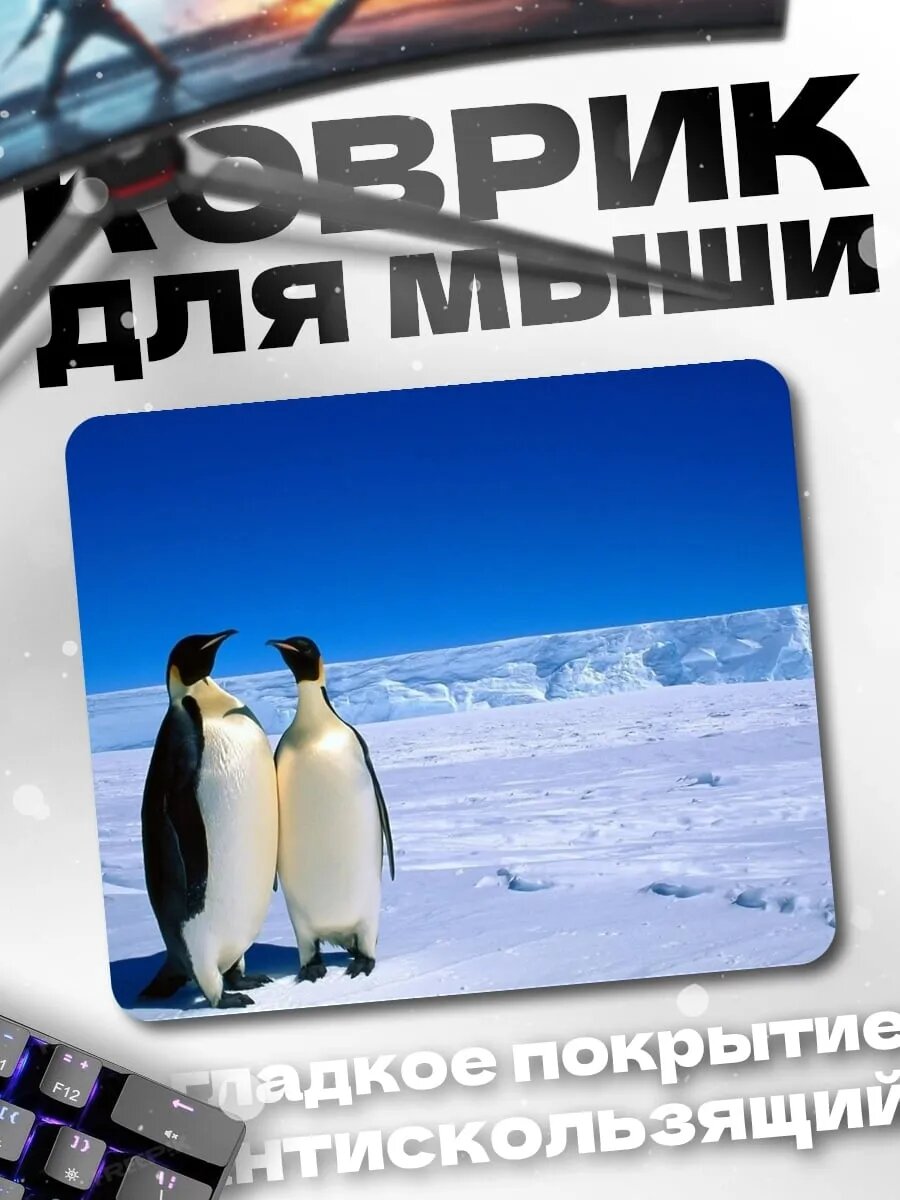 Коврик для мыши Два пингвина на льду