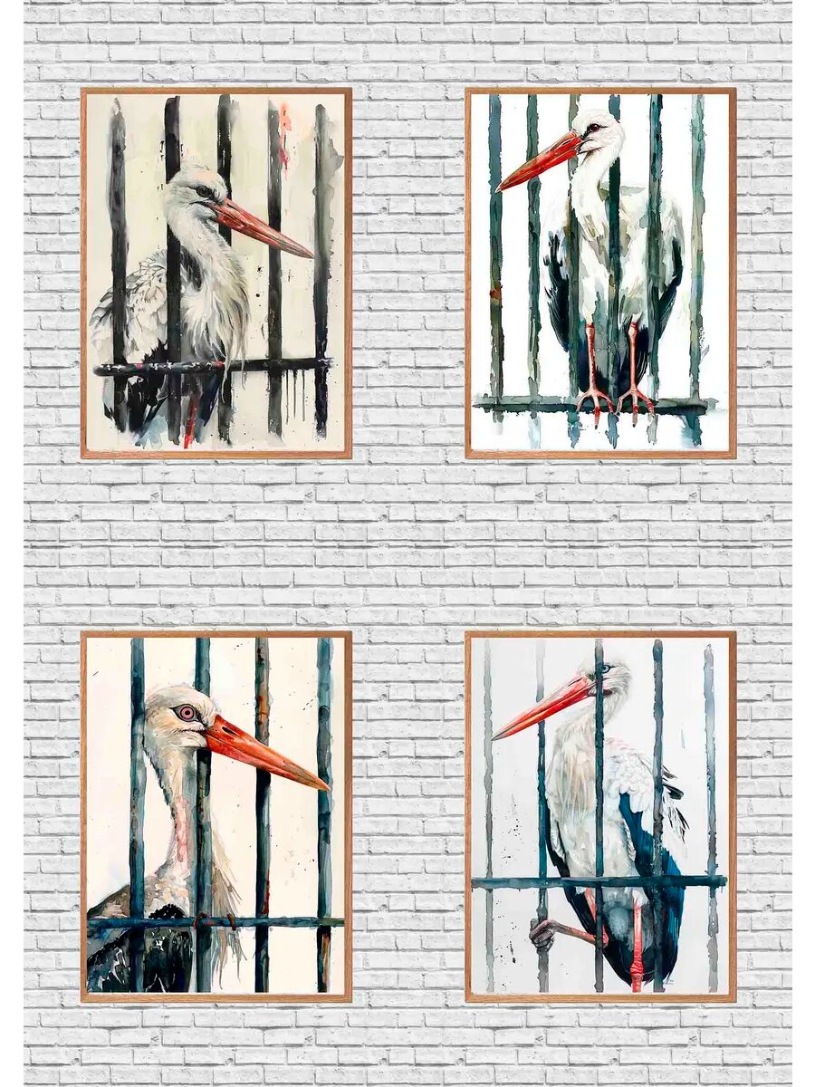 Птица-аист - преступник в тюрьме, 4 Плаката, 30x21см