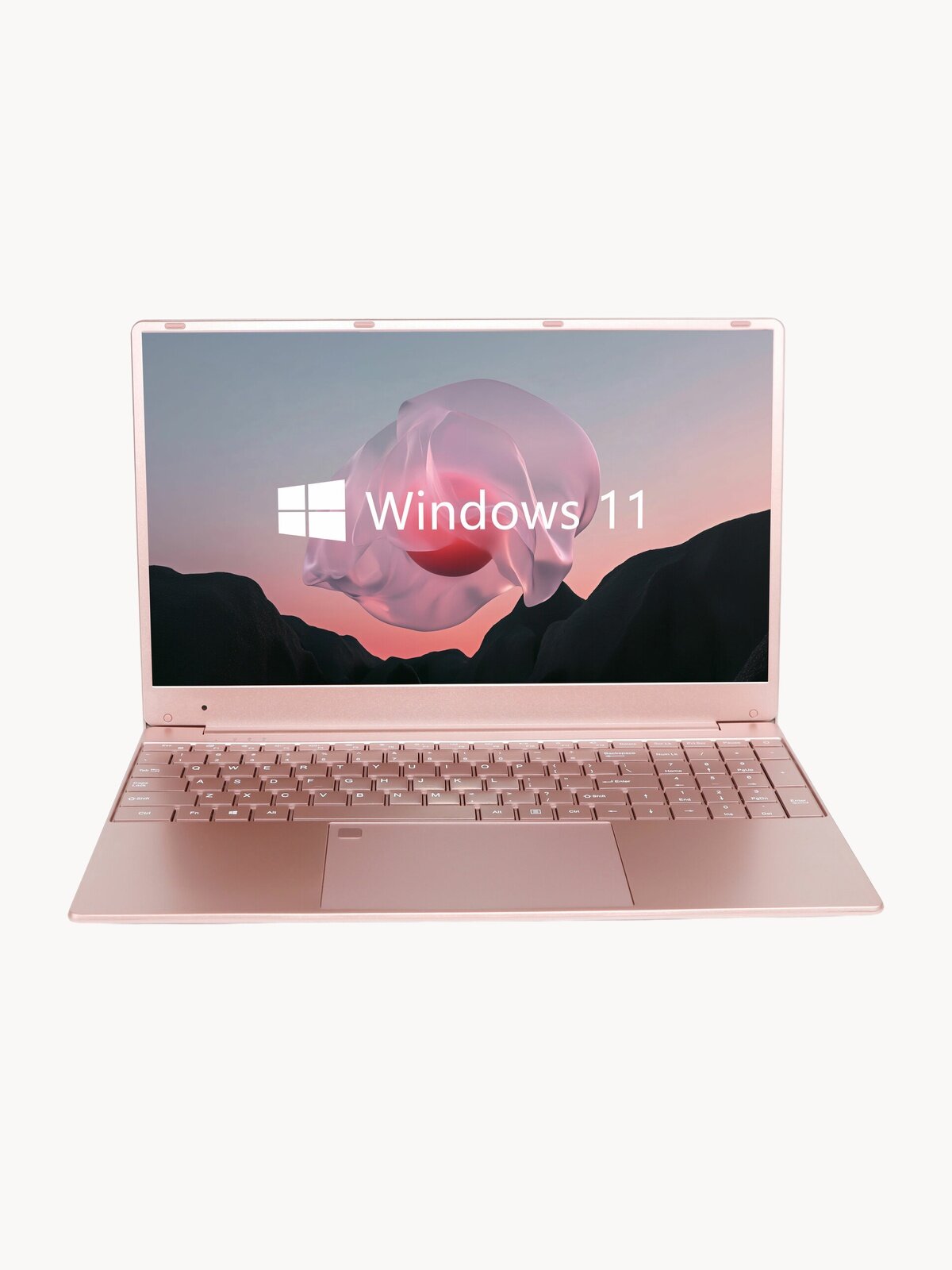 Ноутбук MOMOY, 15,6", 16ГБ RAM, SSD 512ГБ, IPS Full HD, Intel Celeron Розовое золото