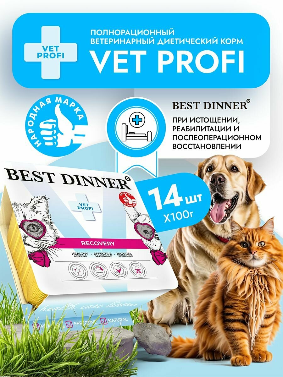 Влажный диетический корм Best Dinner (Бест Диннер) Vet Profi Recovery для кошек и собак при при истощении, выздоровлении и послеоперационном восстановлении (14шт х 100гр)