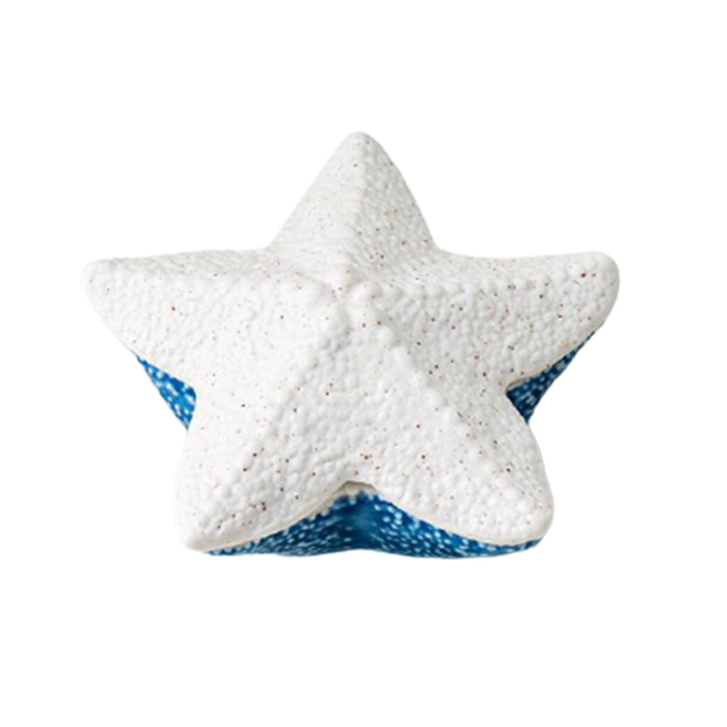 Морские ракушки для декора