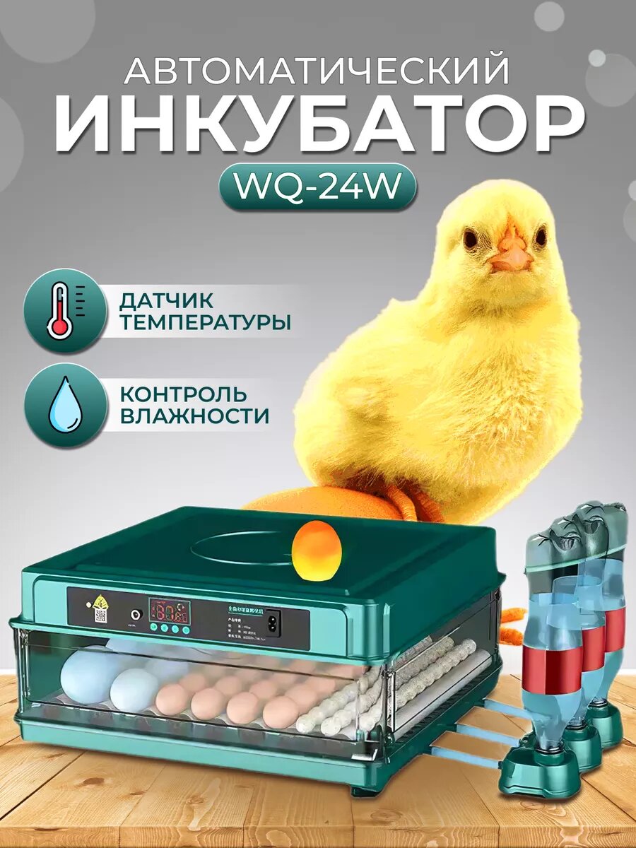 Инкубатор для яиц автоматический с терморегулятором
