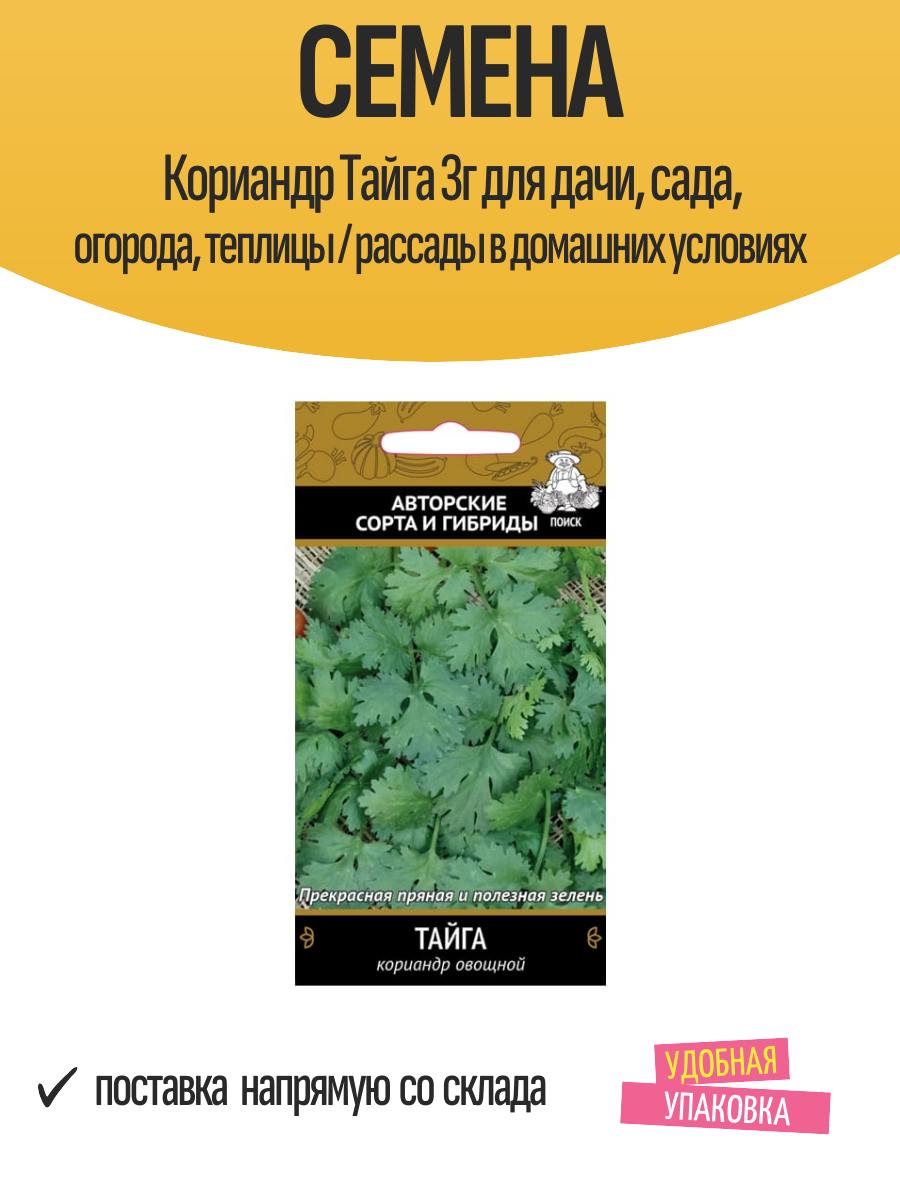 Семена Кориандр Тайга 3г для дачи, сада, огорода, теплицы / рассады в домашних условиях