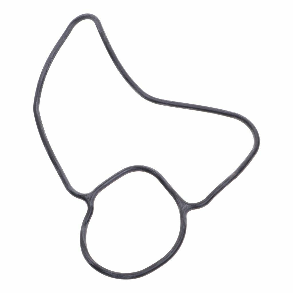 Прокладка насоса водяного для Скания арт 124218 DT Spare Parts