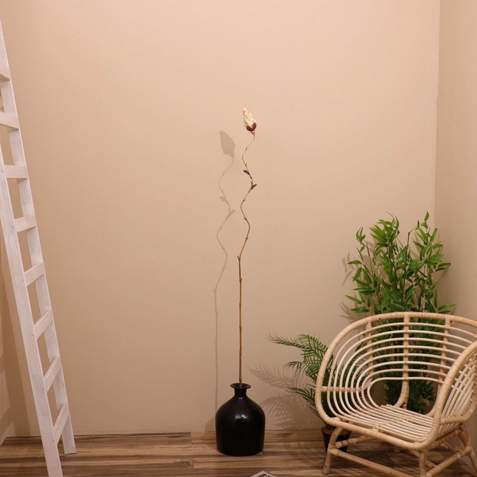 Сухоцвет Сима-ленд, на бамбуковом стебле, высота 150 см, белый