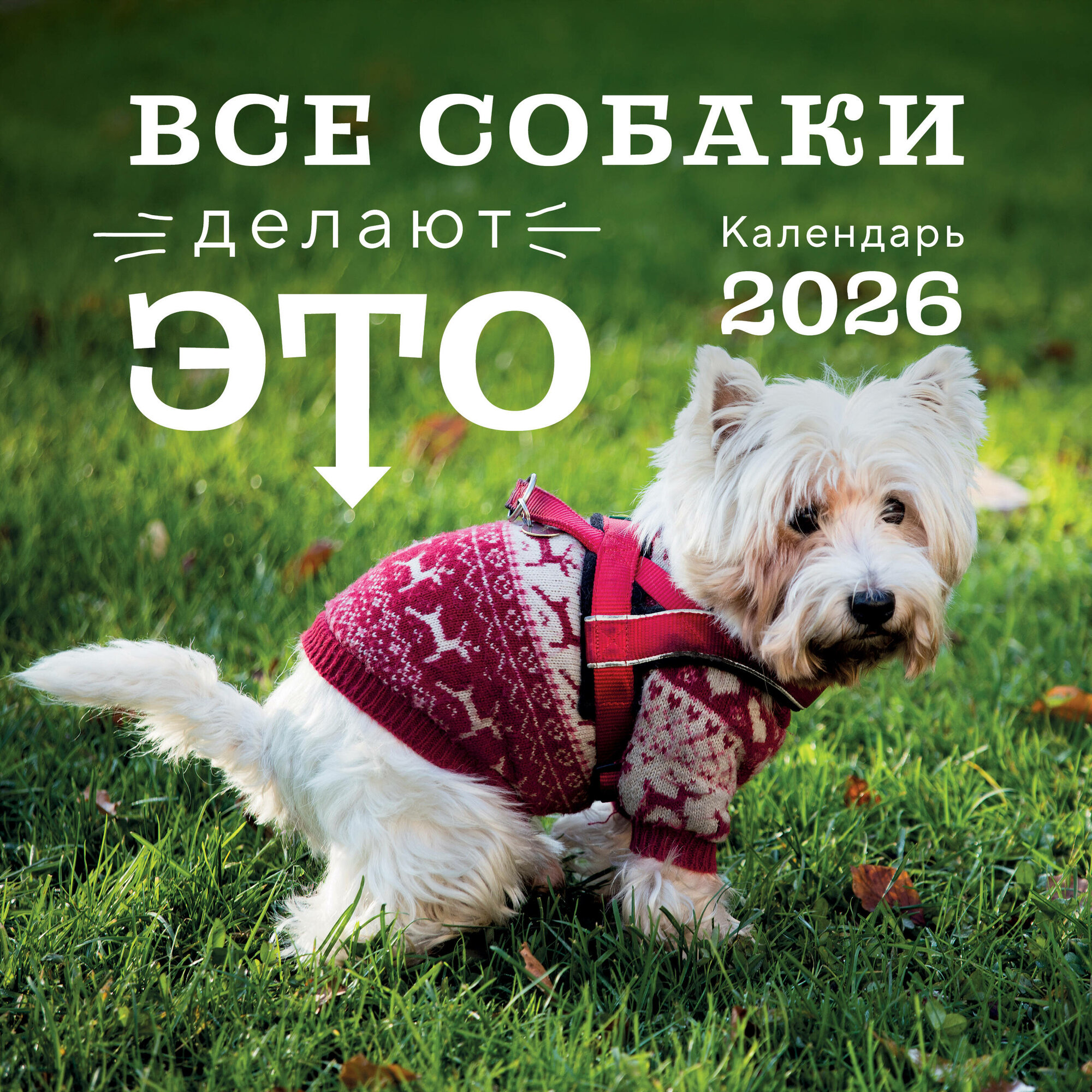 Все собаки делают это. Календарь настенный на 2026 год (300х300)