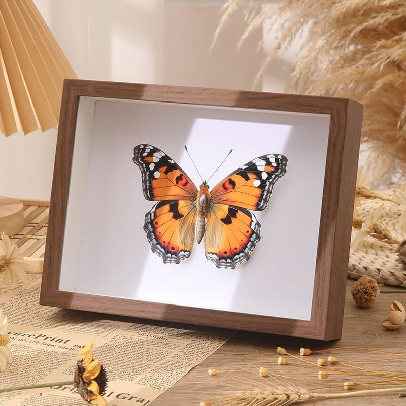 3D Фоторамка DIY Деревянная прозрачная цветочная рамка Стеклянная полая рамка для домашнего декора