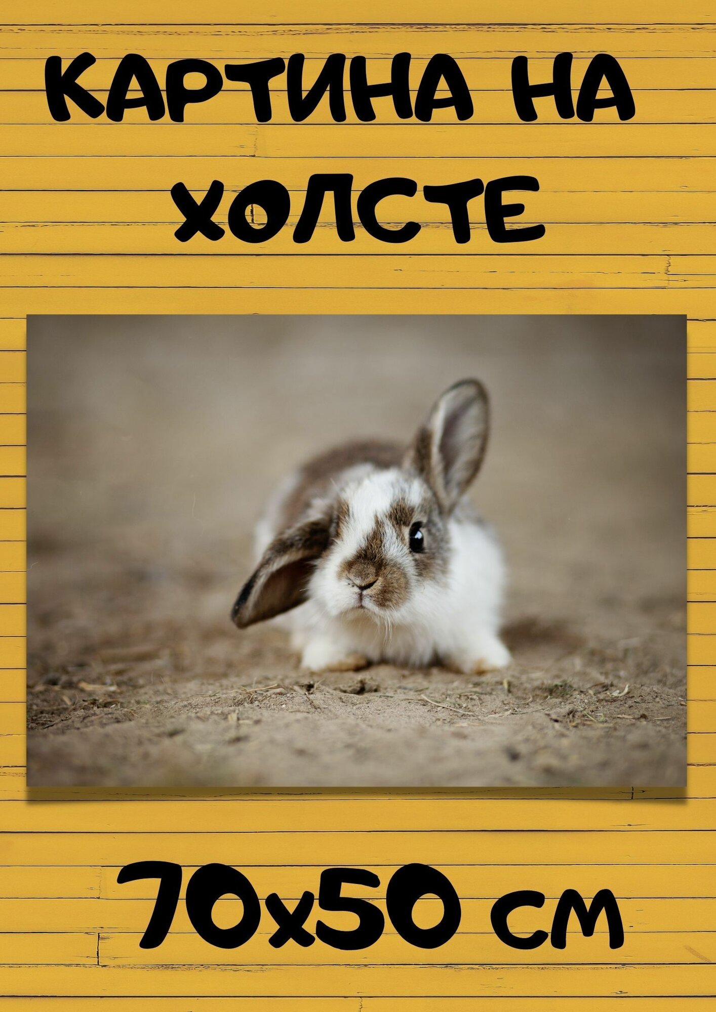 Картина кролики, зайцы в дикой природе, фотокартина на холсте