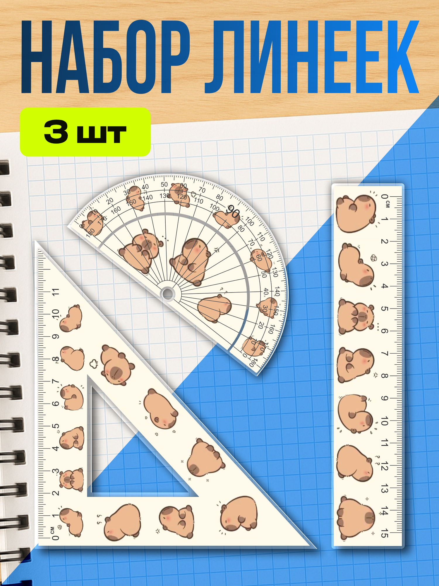 Набор линеек для школьника с транспортиром Капибара