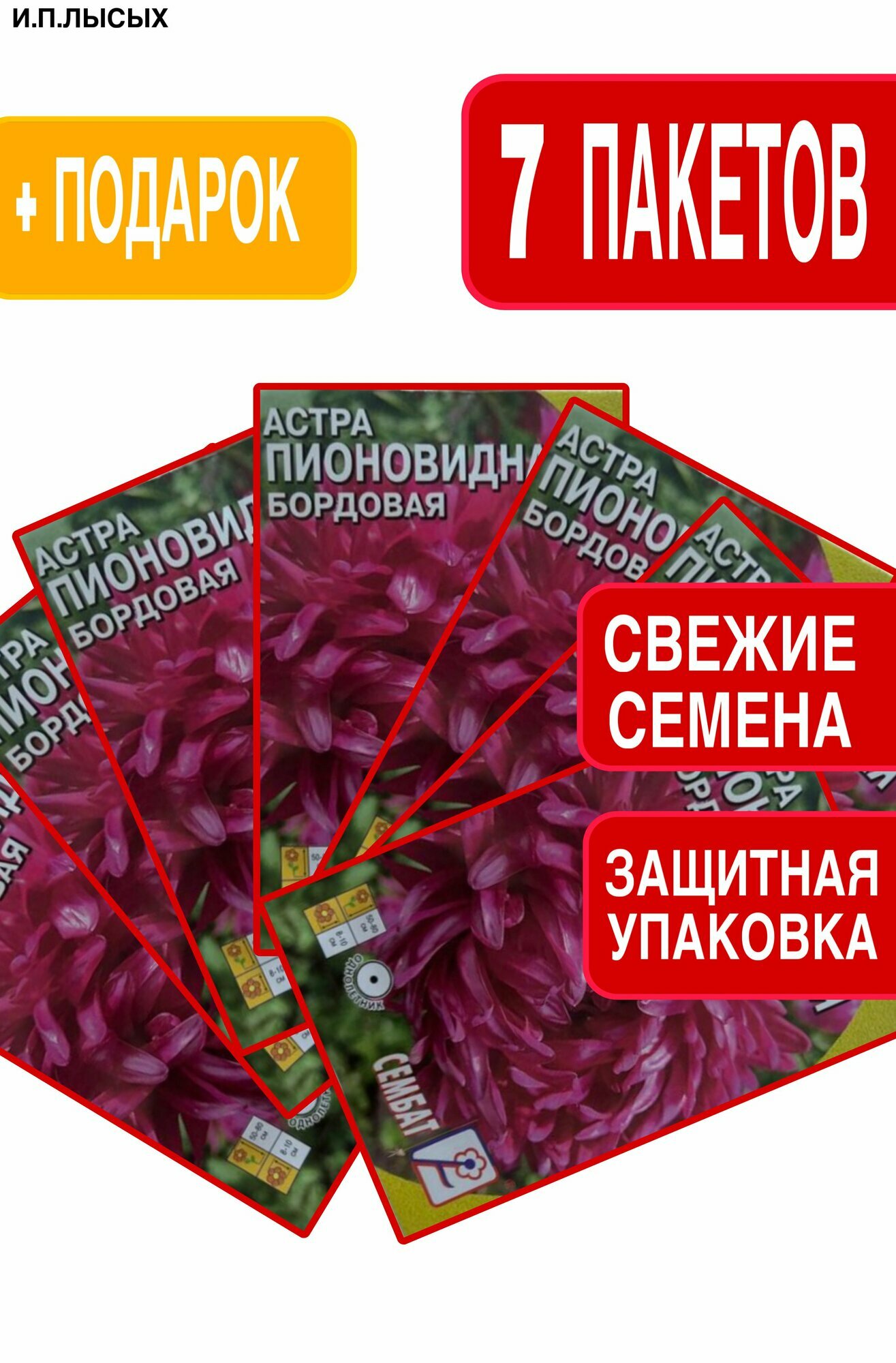 Семена Астра "Пионовидная Бордовая"