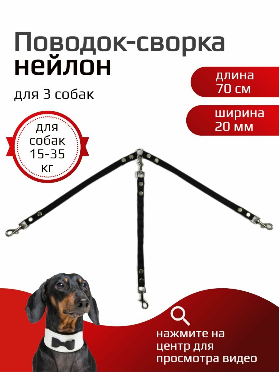 Сворка Хвостатыч для трёх собак нейлон 70 см х 20 мм (чёрный)