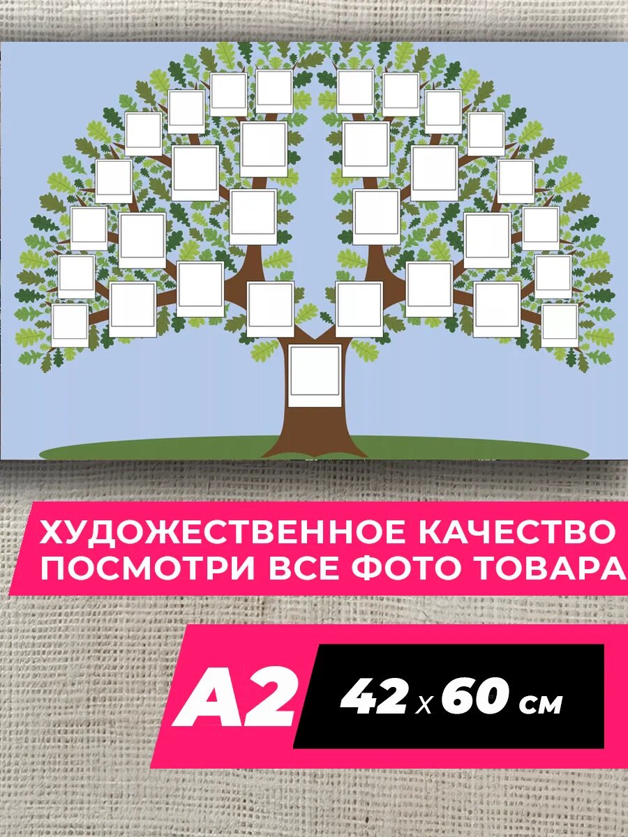 Постер Семейное дерево на стену A2, матовая фотобумага премиум качества