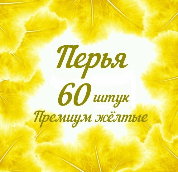 Перья 60 штук декоративные Премиум качество (12-15см) Для декра и творчества.