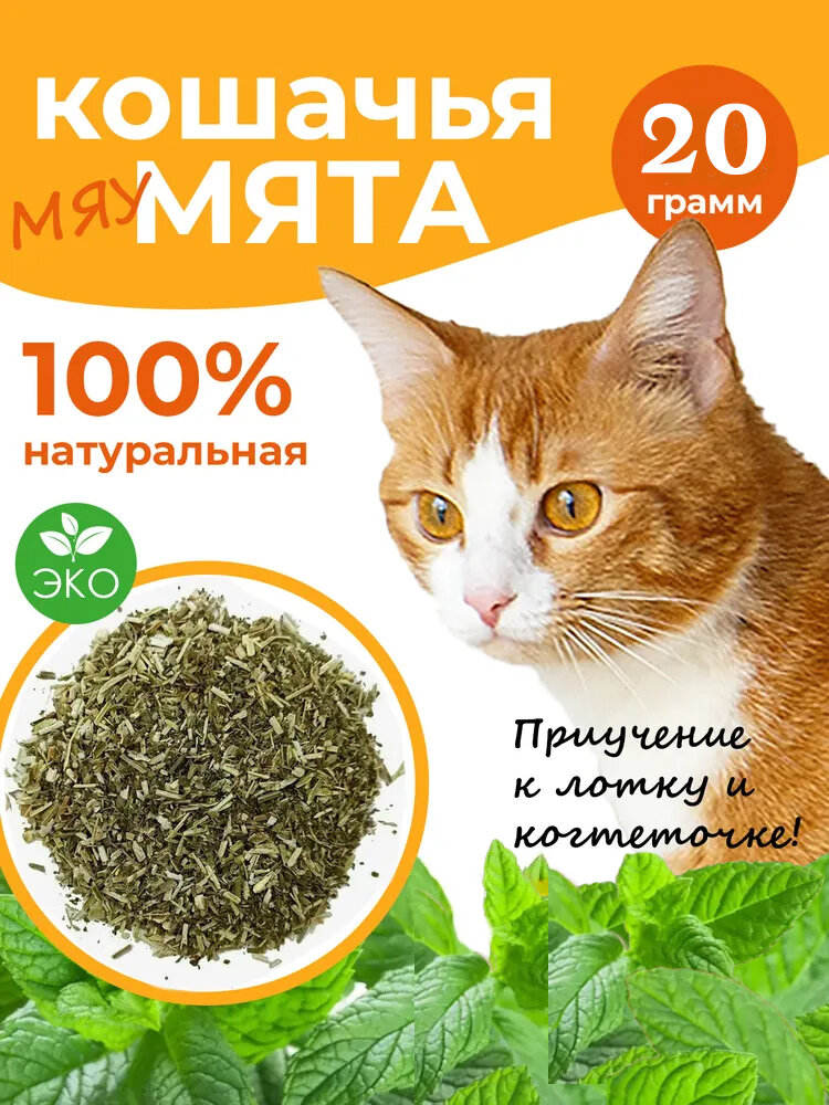 Кошачья мята для кошек и котов, лакомство 20 грамм, сухая трава котовник котовник сухая трава лакомство для кошек